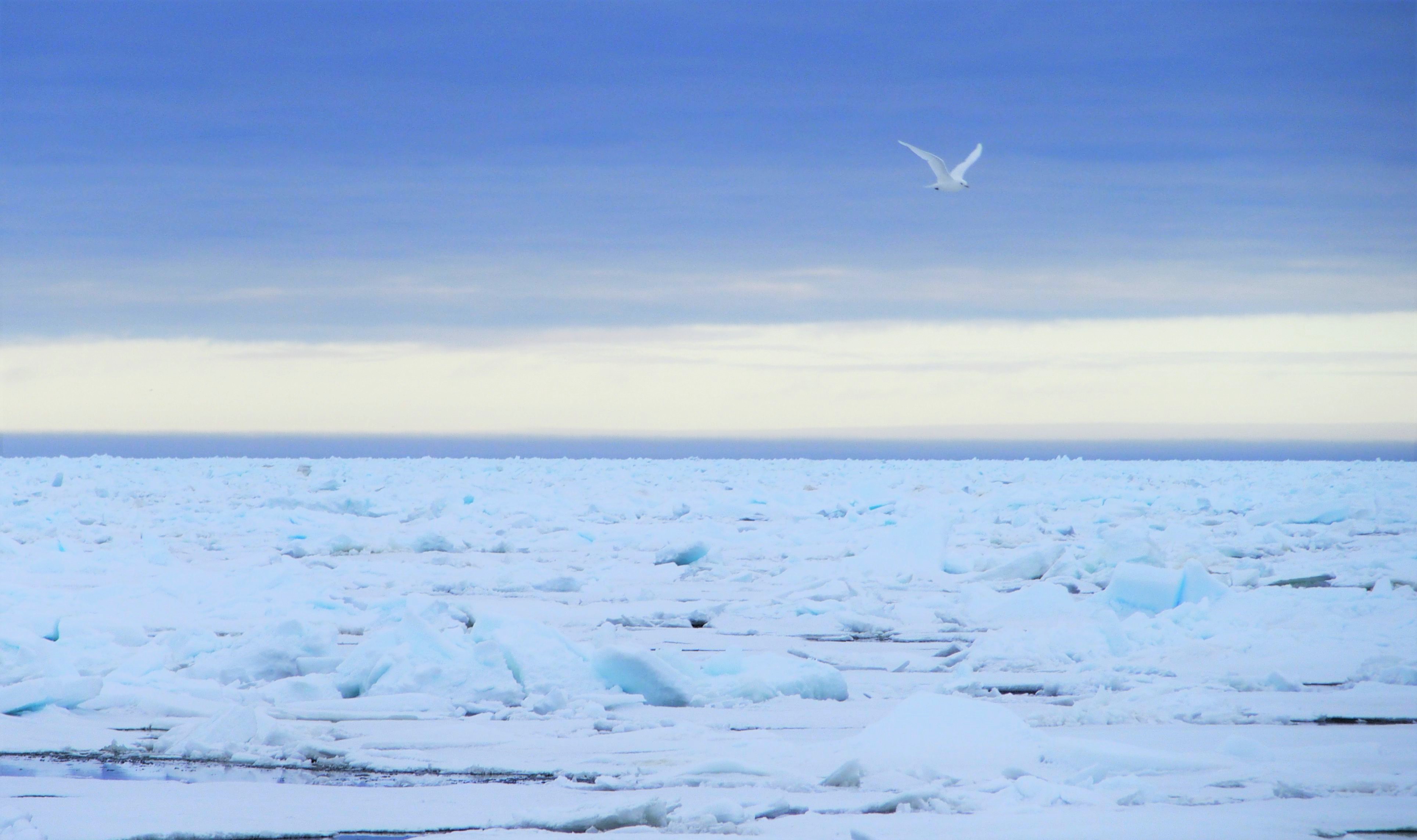 Above and below | Mareano - The Sea in Maps and Pictures